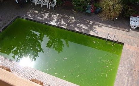 Hoe je zwembadwater schoon – E2R